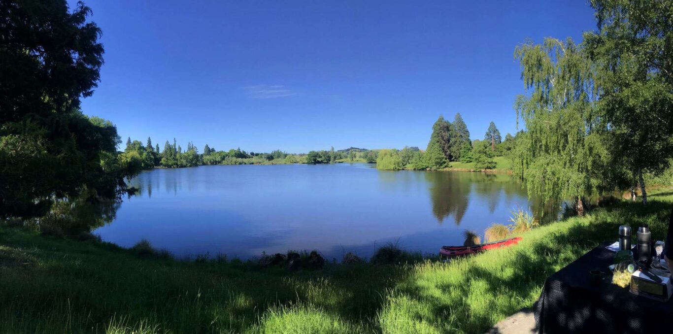 Discover Matae Kopae: A Hidden Gem Near Cheviot