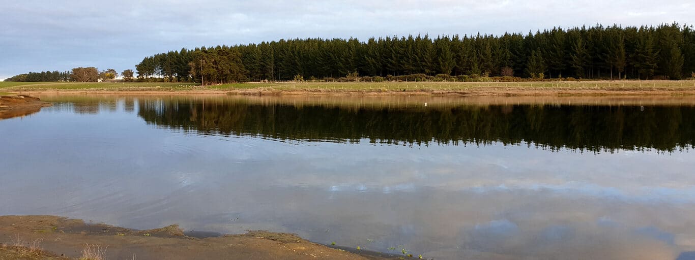 Explore Lake Dudding: A Guide to Safe Recreation