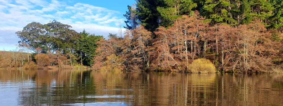 Explore Lake Heaton's Urgent Water Quality Issues