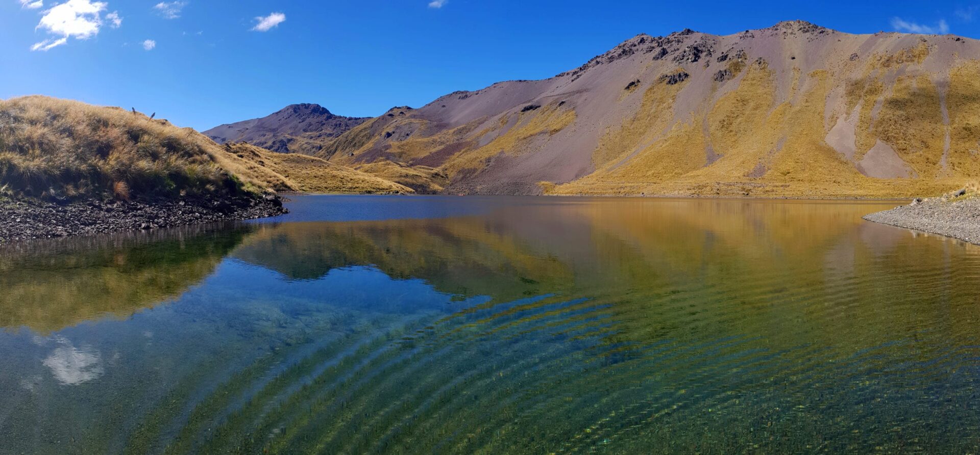 Lakes - Our Lakes Our Future