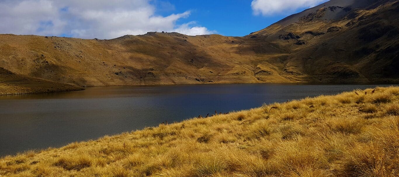 Lakes - Our Lakes Our Future