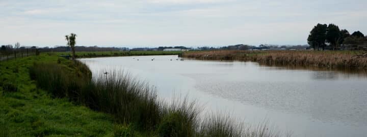 Susceptibility and Diagnosis of declining lake health