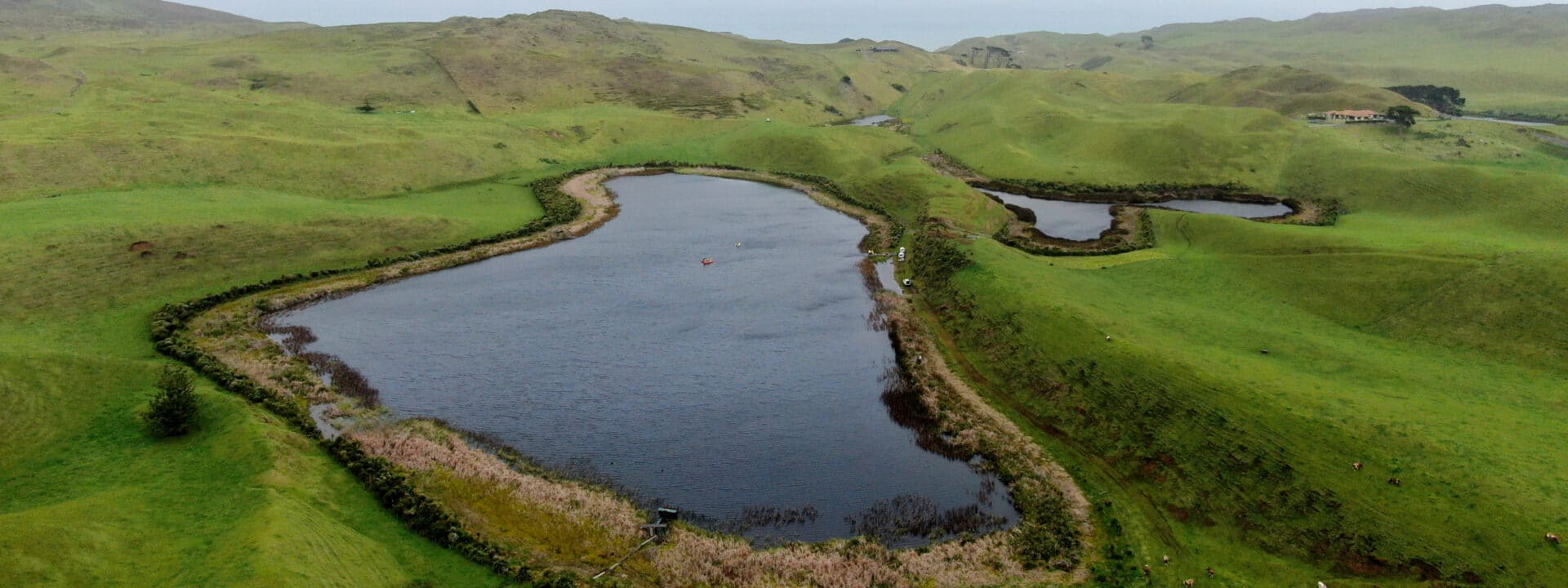 Explore Lake Puketi: A Gem Near Kariotahi Beach
