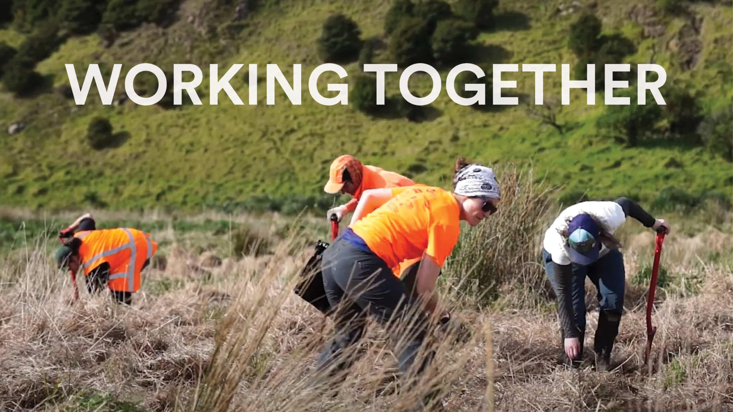 Working Together to Protect New Zealand's Lakes